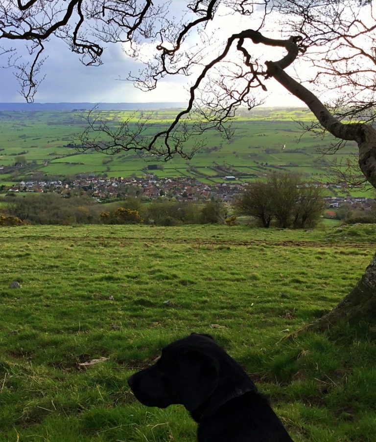 Draycott Village - Draycott Diaries Village Podcast